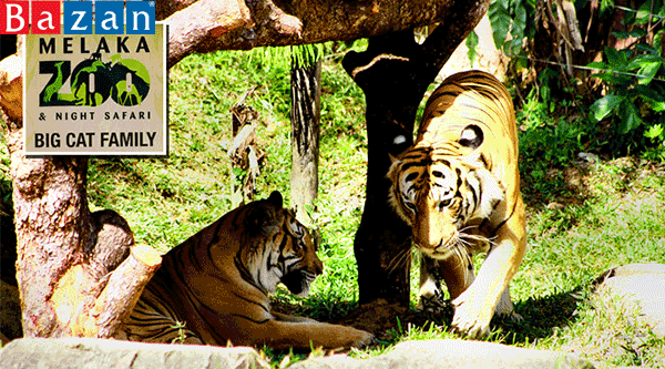 Zoo Melaka ở Malaysia