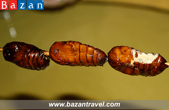 Món Witchetty Grubs ( Ấu trùng bướm) ở Australia