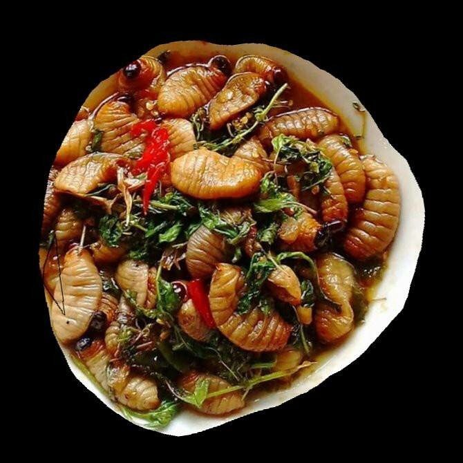 Chế biến thành 8 món ăn hấp dẫn từ đuông dừa lúc nhúc béo ngậy