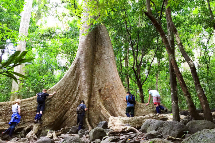 Tour Nam Cát Tiên 2N1Đ Khởi Hành Hàng Tuần