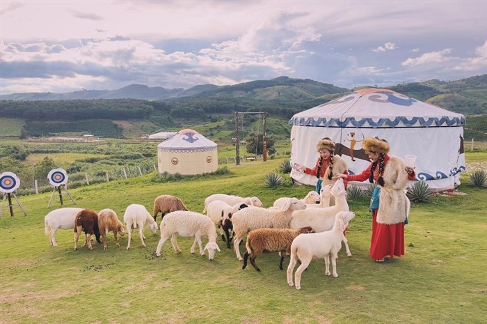 Tất tần tật về Mongo Land Đà Lạt - Hướng dẫn di chuyển và giá vé tham quan