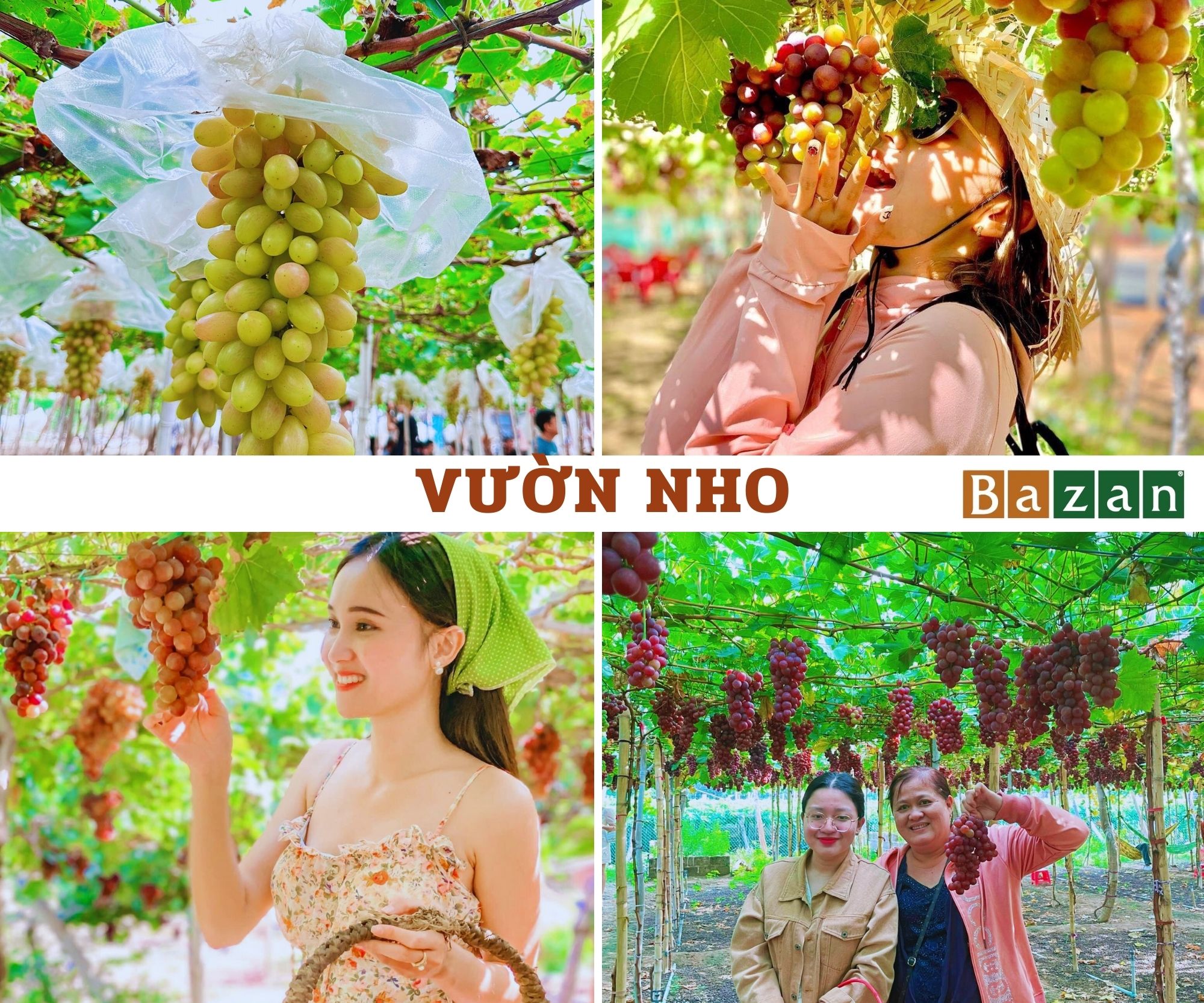 Tour Bình Hưng - Đại Tiệc Tôm Hùm 2 Ngày 2 Đêm